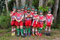 Under 7`s - Nambour JRL - SportsTG